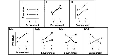 Combination Of Reaction Norms Illustrating The Potential Responses Of Download Scientific