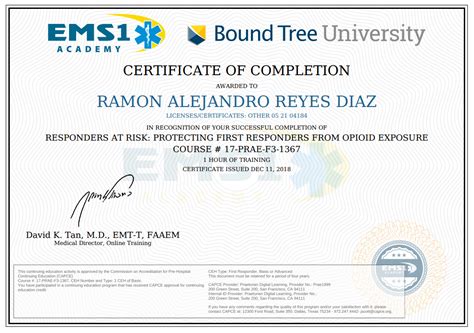 Ems Solutions International By Drramonreyesmd Marca Registrada Free