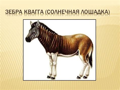Презентация "Охрана животных" (3 класс) по окружающему миру – скачать ...