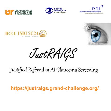 Justvit Algorithms Grand Challenge