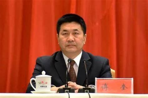 喻红秋傅奎当选中央纪委副书记 监察
