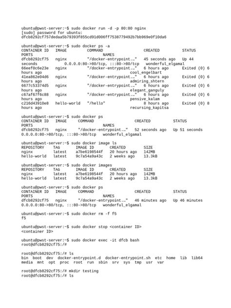 Docker Basics Pdf Computing Free Content