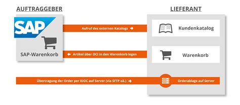 Oci Anbindung An Ihr Sap System Erlebe Software