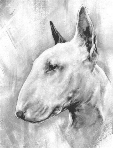 Скици на татуировки на бултериер Vean Bulgaria