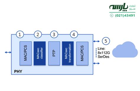 Macsec در سیسکو چیست و تشخیص فعال بودنش بر روی سوئیچ