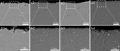 Cross Sectional Sem Micrographs Bse Mode Of The Specimens Exposed At Download Scientific