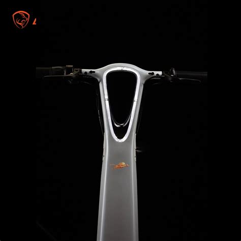 Dynavolt 리튬 배터리 36v 250w 12 인치 미니 전기 접이식 자전거 Buy 전기 접는 자전거접이식 자전거전기