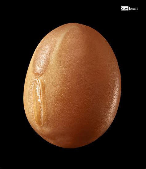 Macro Seeds For Basf Behance