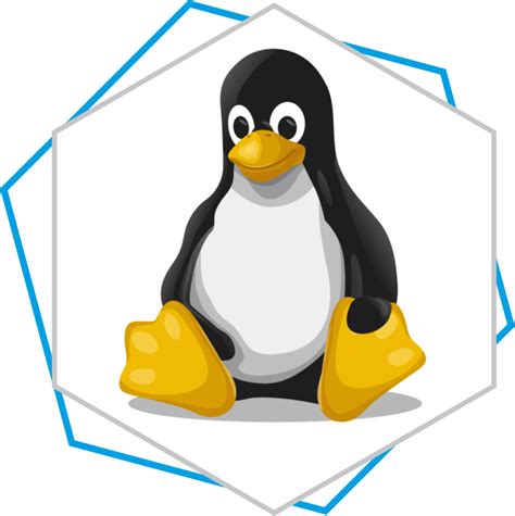 Best Kali Linux Essential Training Course Learn Linux OS Commands More