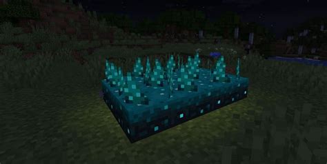 Minecraft How Does The Sculk Sensor Work