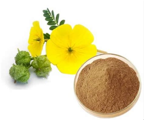 Gokhru Liquid Extract Packaging Type Packet Packaging Size 200 Gm