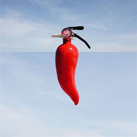 Transport Hazard Pictograms Artofit