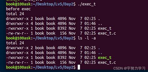 Linux学习——exec函数族和守护进程linxu 中exec Setsid Csdn博客