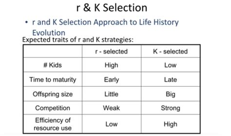 Bio Exam 4 Flashcards Quizlet