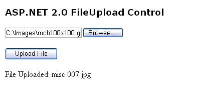 Using ASP NET FileUpload Control
