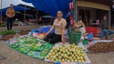 Harvest Corn Corn Bring To Market To Sell Quan Thi Bien Youtube