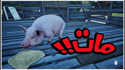 محاكي المزارع اول خسارة في المزرعة Ranch Simulator Youtube