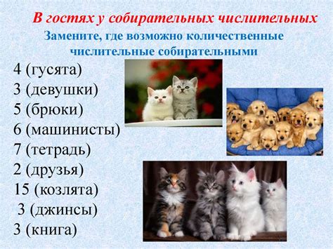 Имя числительное Обобщающий урок по русскому языку в 6 классе