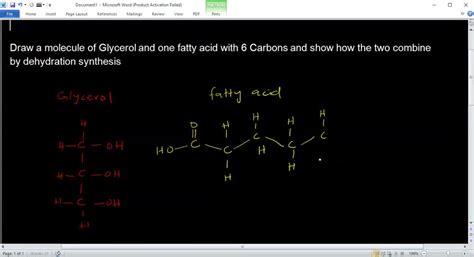Glycerol And Fatty Acids Combine This Way To Form A Fat At Kristina
