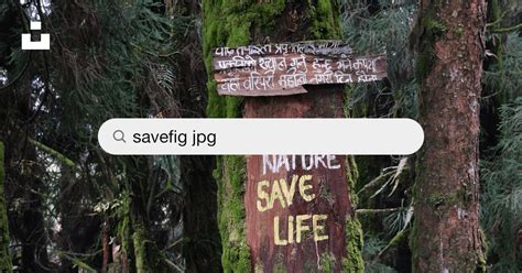 Savefig  Pictures Download Free Images On Unsplash