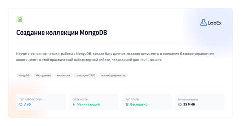 Создание коллекции mongodb labex