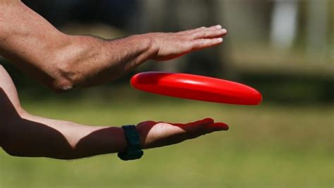 Bring The Frisbee Field To Your Screen With Iphone Xs Ultimate Frisbee