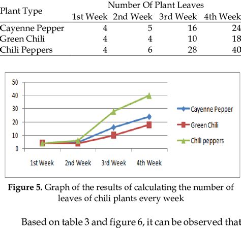 The Results Of Calculating The Number Of Leaves Of Chili Plants Every