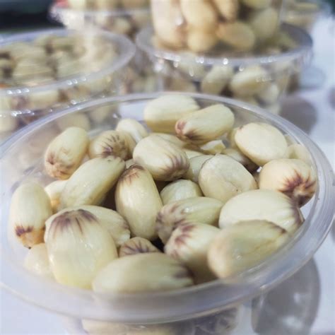 Jual Biji Jarak Olahan Gacor Untuk Umpan Mancing Bawal Kab Sleman