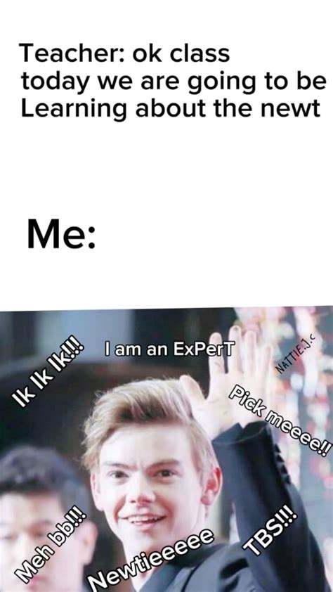 Maze Runner Meme In Maze Runner Funny Newt Maze Runner Maze Runner Characters