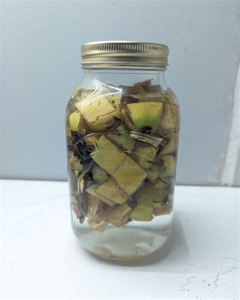 Banana Peel Fertiliser And More Uses For Banana Skins Patient Gardener