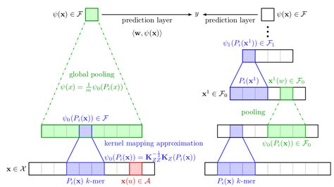 Biological Sequence Modeling With Convolutional Kernel Networks