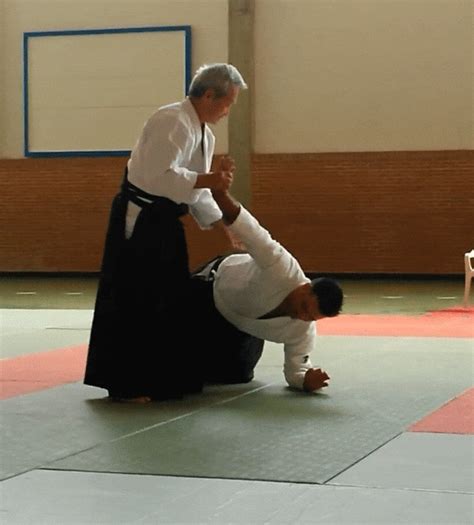 Yonkyo Básico Yokomenuchi