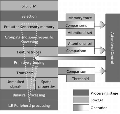 Conceptual Model Of Early Speech Processing After Peripheral And Download Scientific Diagram