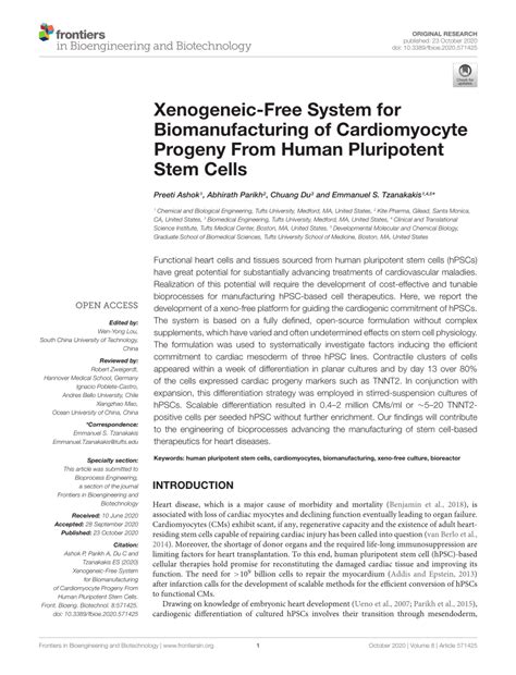 Pdf Xenogeneic Free System For Biomanufacturing Of Cardiomyocyte