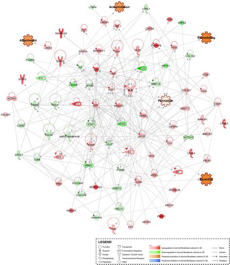 Interactome Analysis Of Exosomal Proteins Isolated From Exosomes Download Scientific Diagram