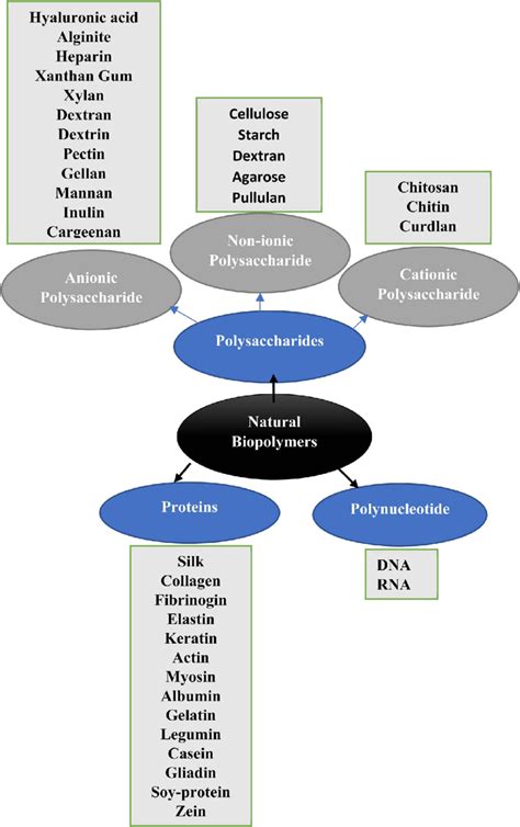 Classification Of Different Polysaccharide Protein And Download