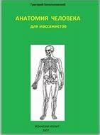 Анатомия человека для массажистов скачать pdf книгу Белоголовский Г. Г ...