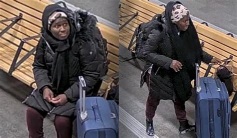 Gambiansk Kvinna Transporterade Sex Kilo Knark Utvisas Pa Livstidpng