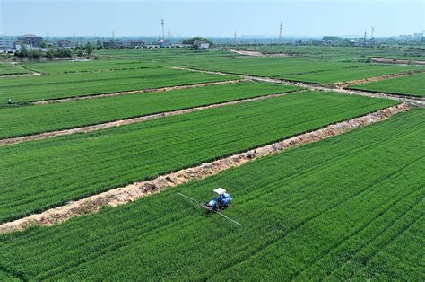 Днес бе представен доклад за перспективите за селското стопанство на Китай за периода 2023 2032 г