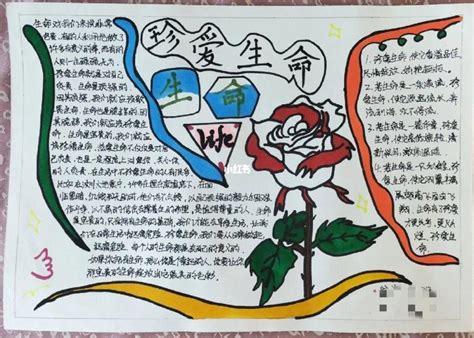 关于润泽生命的手抄报 珍惜生命的手抄报 普车都