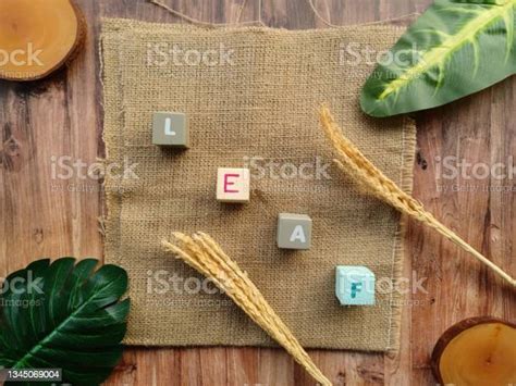 삼베 자루 잎 나무 줄기 의 조각으로 단어 잎을 구성하는 나무 블록 0명에 대한 스톡 사진 및 기타 이미지 0명 갈색 개념 Istock