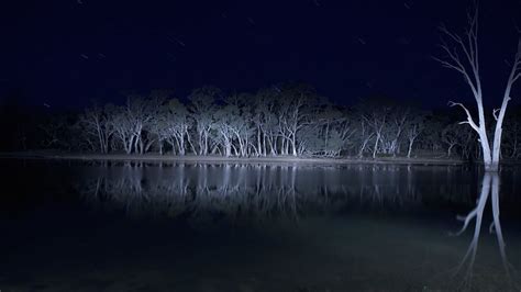 ‎lake Mungo 2008 Directed By Joel Anderson • Reviews Film Cast