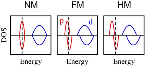 Color Online Schematic Spin Resolved Density Of States DOS Of A P