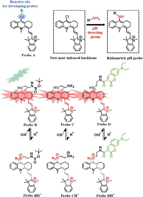 A Ratiometric Near Infrared Fluorescent Probe Based On A Novel Reactive Cyanine Platform For
