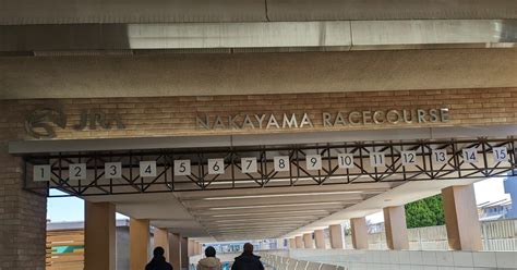 【穴党必見】素人競馬のつぶやき～阪急杯（g3）考察②～｜つとむ｜note