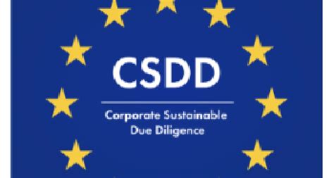 Csrd Regulations And Esg Reporting Guide Esg Disclose Ltd Uk