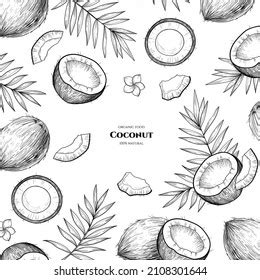 Vector Coconut Hand Drawn Sketch Palm Stock Vector Royalty Free