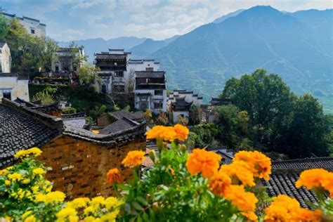 【秀美江西】婺源油菜花、千年瓷都景德镇、仙境三清山，一派水墨春天！庐山陶瓷徽州
