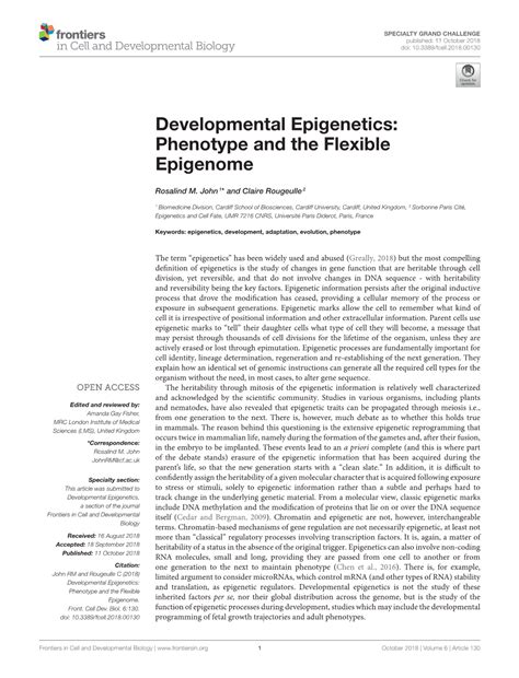 Developmental Epigenetics Phenotype And The Flexible Epigenome Docslib