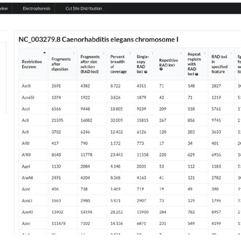 Overview Report Of An Original Rad Protocol Simulation Of The C